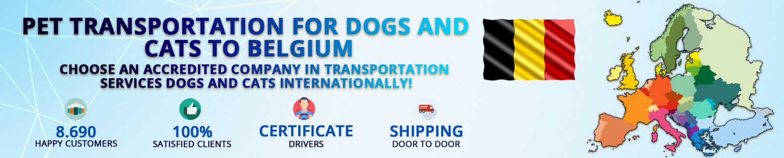 (Română) Transport international animale de companie caini si pisici in ...